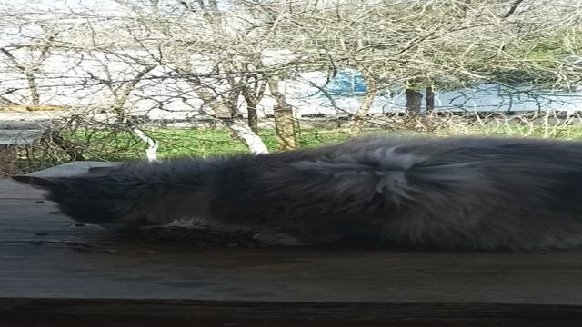 все хотят есть