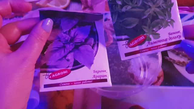 Базилик.Как быстро вырастить на подоконнике .Полезные свойства базилика .Базилик -супер фуд.