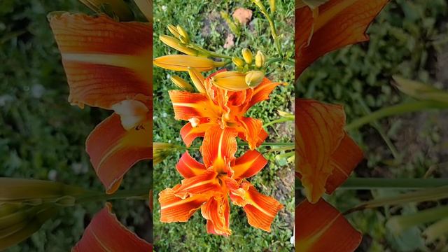 есть люди....