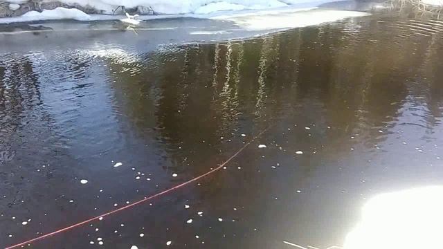 хороший улов на магнит