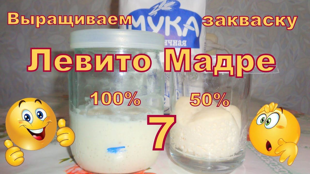 Закваска на винограде Левито Мадре. Часть 7. День 6. Мой эксперимент))