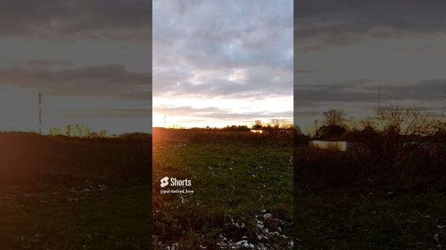 Деревня-деревенька! #villagelife #village