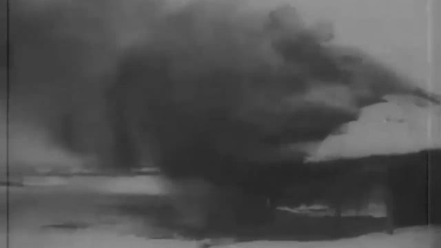 Трутнева Милана - Историю надо знать. Война и память