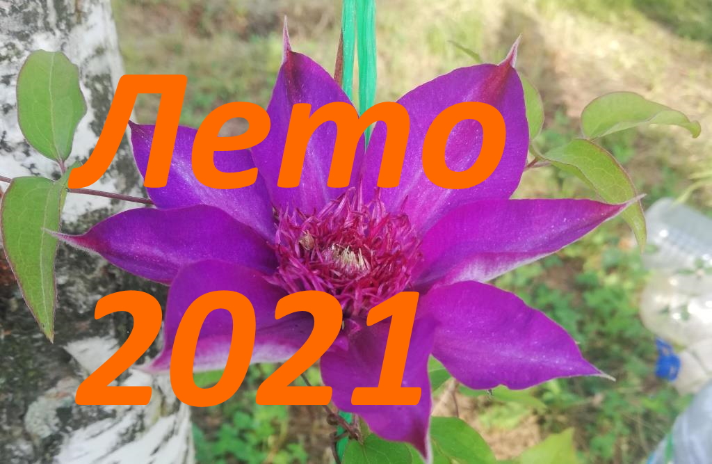 Вспоминаем лето. Как было всё красиво.