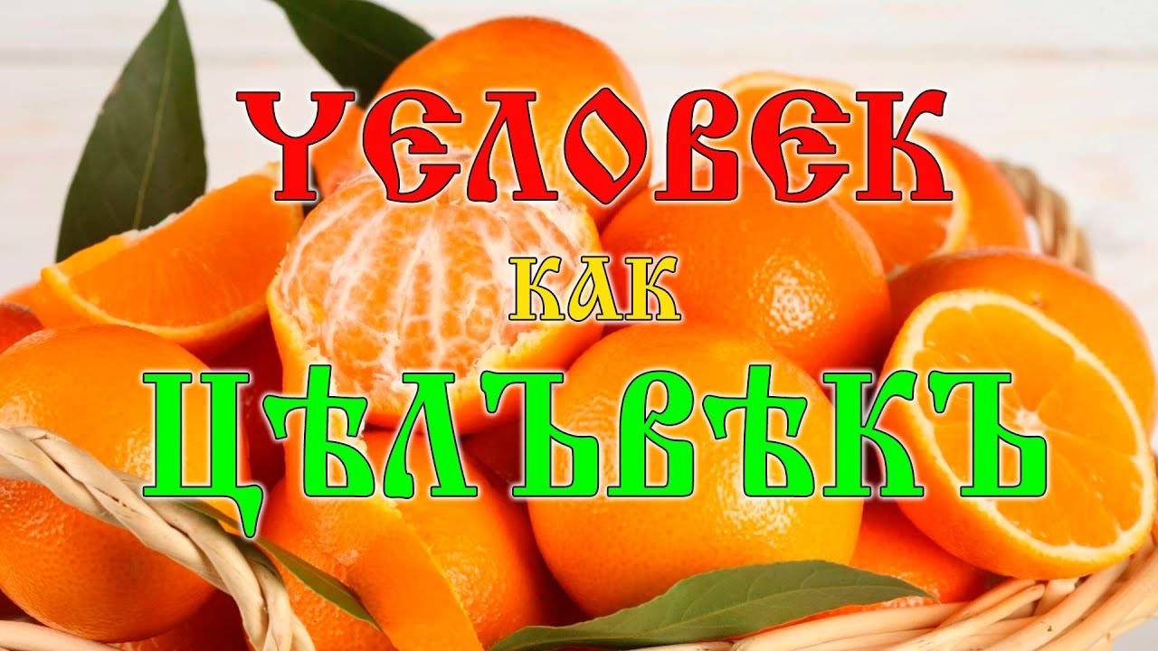 ЧЕЛОВЕК. Раскрываем суть слова