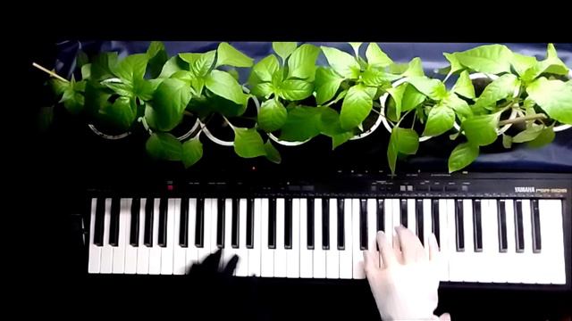 "Вальс рассады"