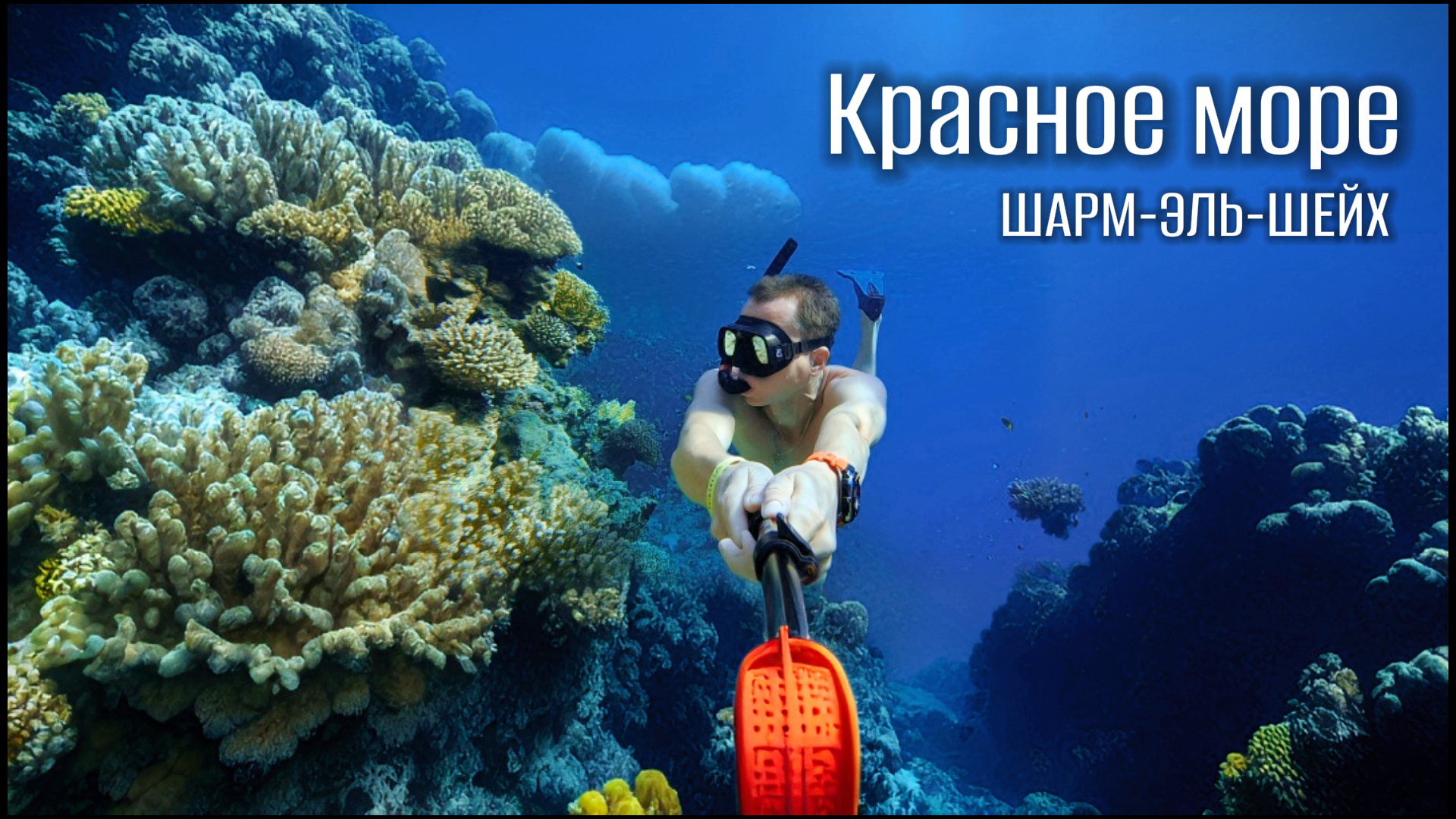 Подводный мир Красного моря. Шарм-эль-Шейх