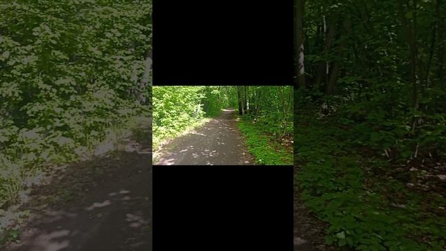 My running workout is 5 km