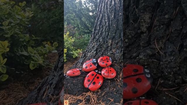 Сказочный Лес, или удивительное рядом.