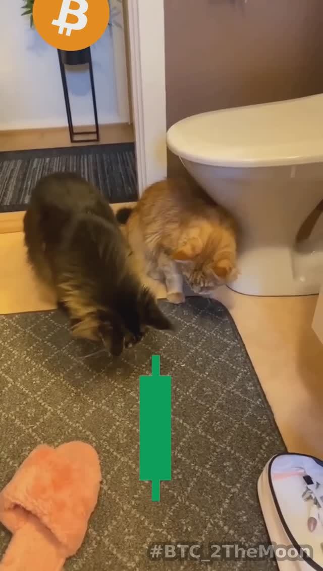 Все мы знали, кто уронил Биткоин