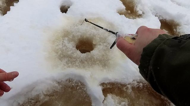 Супер клев окуня на реке. Рыбалка одной лунки