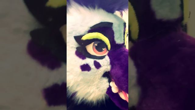 Была прокачка фурри  гиены с бартера