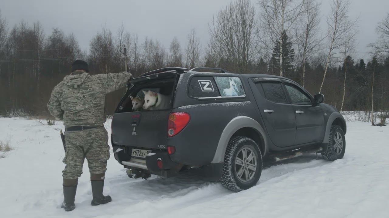 Щенок Волчан приехал в лес