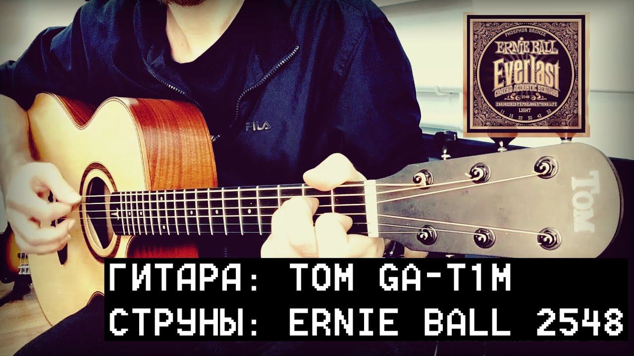 Струны ERNIE BALL 2548 и гитара Tom GA-T1M