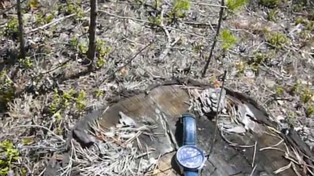 Ориентирование в тайге по стрелкам часов (продолж.) 18