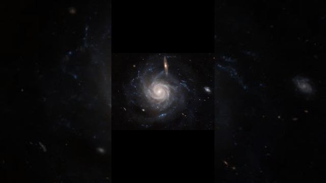 2023 Mysterious universe