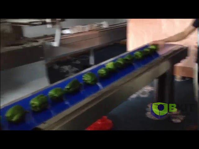 Упаковка фруктов (овощей) в термоусадочную пленку