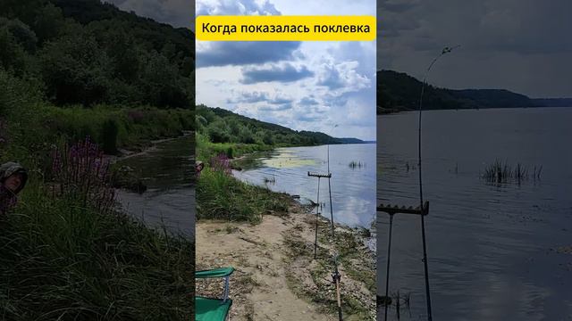 Долгожданная поклевка #fishing #рыбалка  #крупныйлещ #рыбалка #нижнийновгород #рыболовмакс