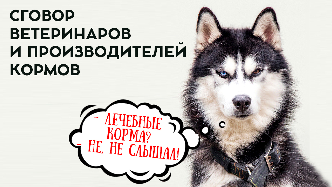 Есть ли сговор между ветеринарами и производителями кормов