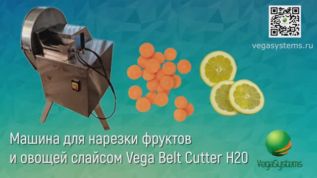Машина для нарезки фруктов и овощей слайсом, моркови, апельсинов, лимонов Vega Belt Cutter H20