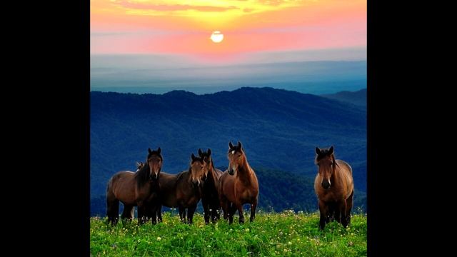 Библия. 49-10. Книга пророка Захарии (10). И говорит Господь...