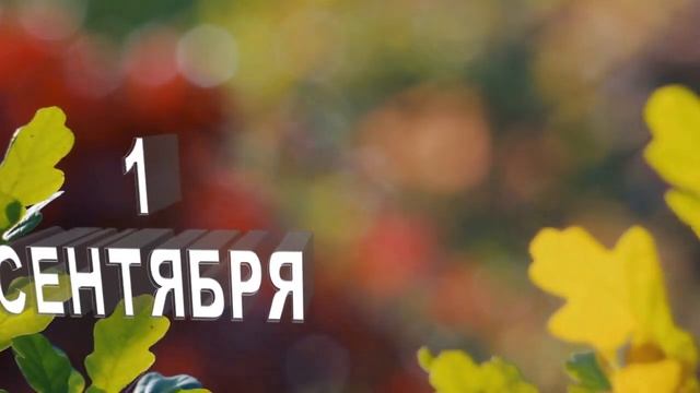 05 поздравления с 1 сентября