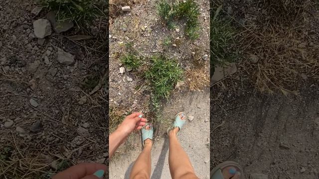 Крым 2020. Керчь. Крепость. Страусиная ферма.