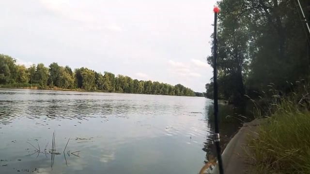 ЛЕТНЯЯ ДОНКА | ПЕРВЫЙ ЛЕТНИЙ УЛОВ | ТЕСТИРУЮ НОВУЮ КАТУШКУ SHIMANO