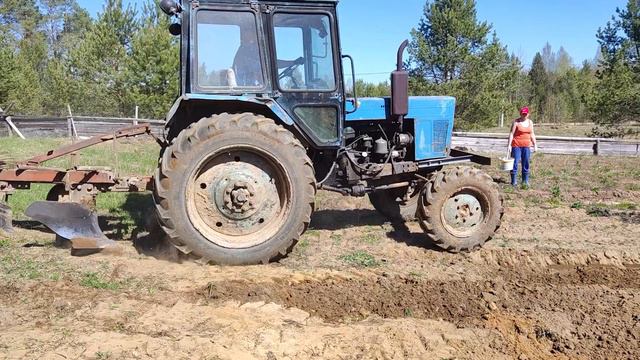 Посадка картофеля. Посадка с обеих сторон. Второй способ посадки картофеля. Синий трактор