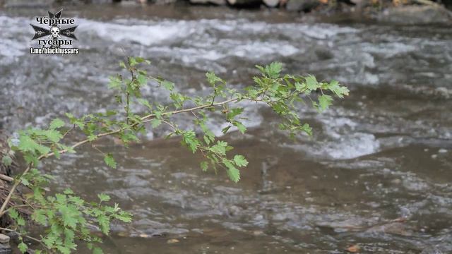 "И ввысь, и вниз".