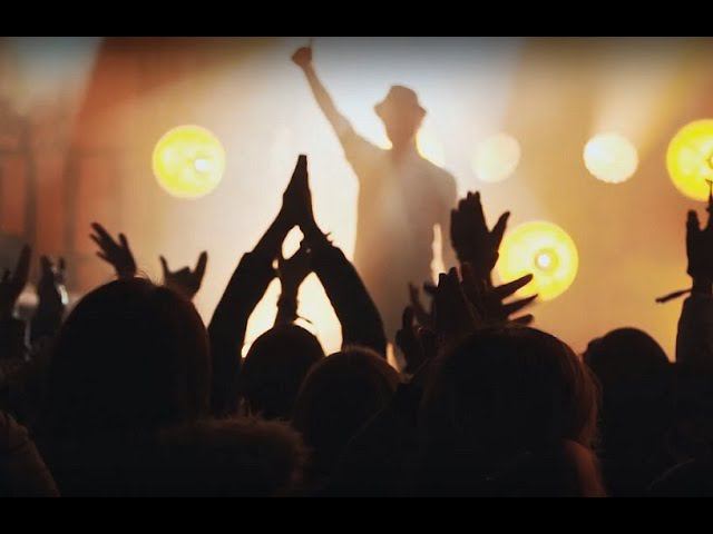 Дикая Мята 2018