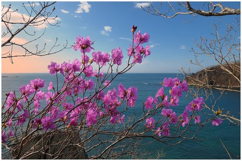 Самое Лучшее Поздравления С Днем Рождения
