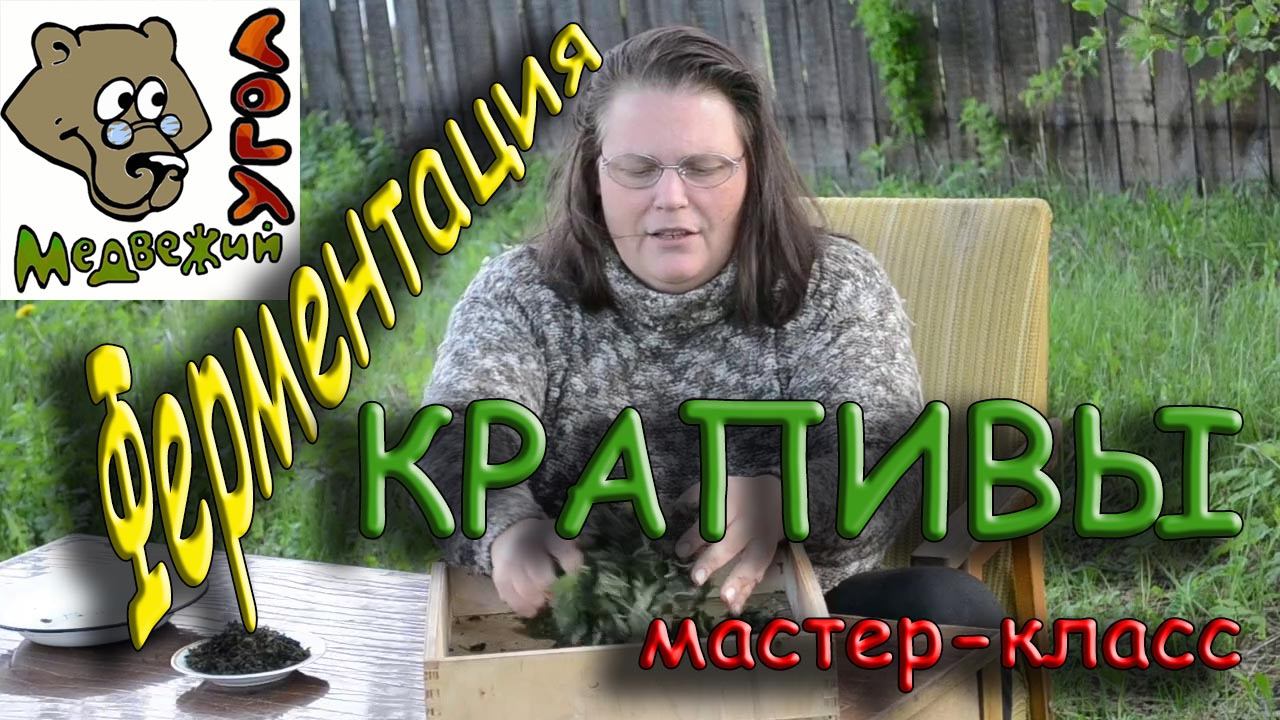 Ферментация КРАПИВЫ - мастер класс