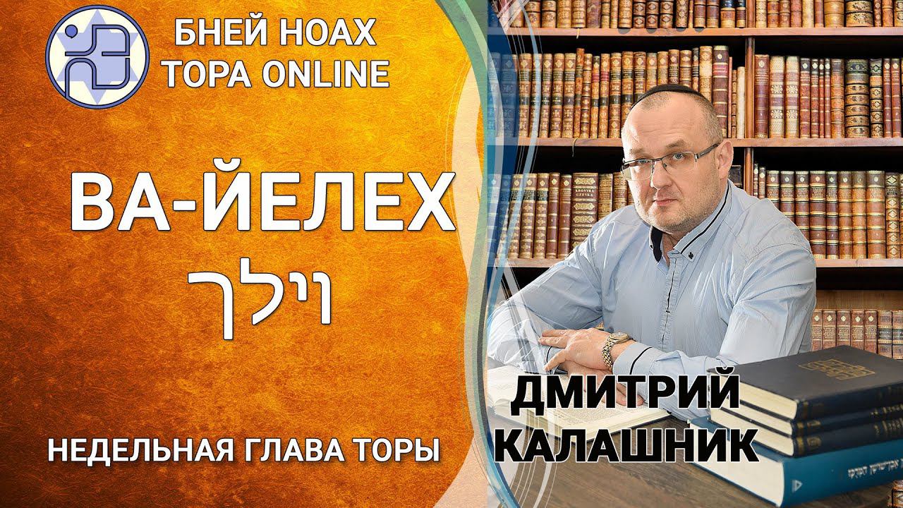 Недельная глава ВАЕЛЕХ (וַיֵּלֶך) || Дмитрий Калашник ||  5783