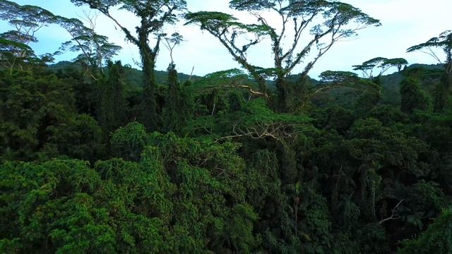 Когда сияя солнышко восходит. Минус. Родник хвалы и вдохновенья