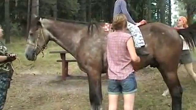 Лагерь - это маленькая жизнь...(2010)