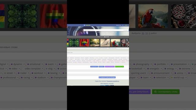 БЫСТРЫЙ СТАРТ НА ENVATO