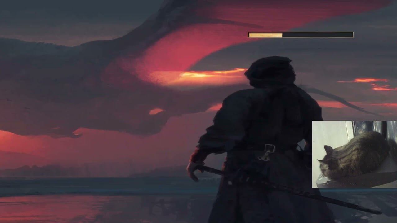 Renovation / Реновация 17 - Арбаль