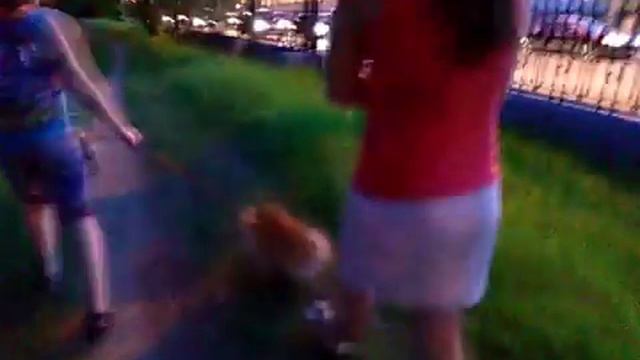 Сериал ИМРК 114 — Прогулки с собаками с Иваном Краснояровым