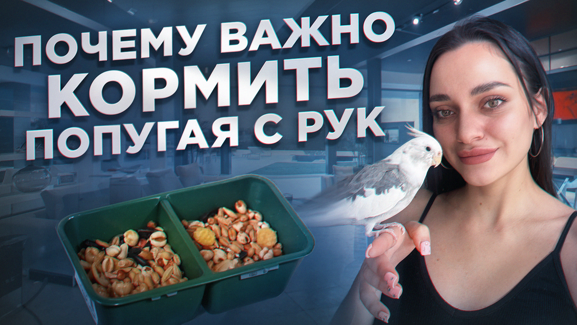 ПОЧЕМУ ВАЖНО КОРМИТЬ ПОПУГАЯ С РУК?