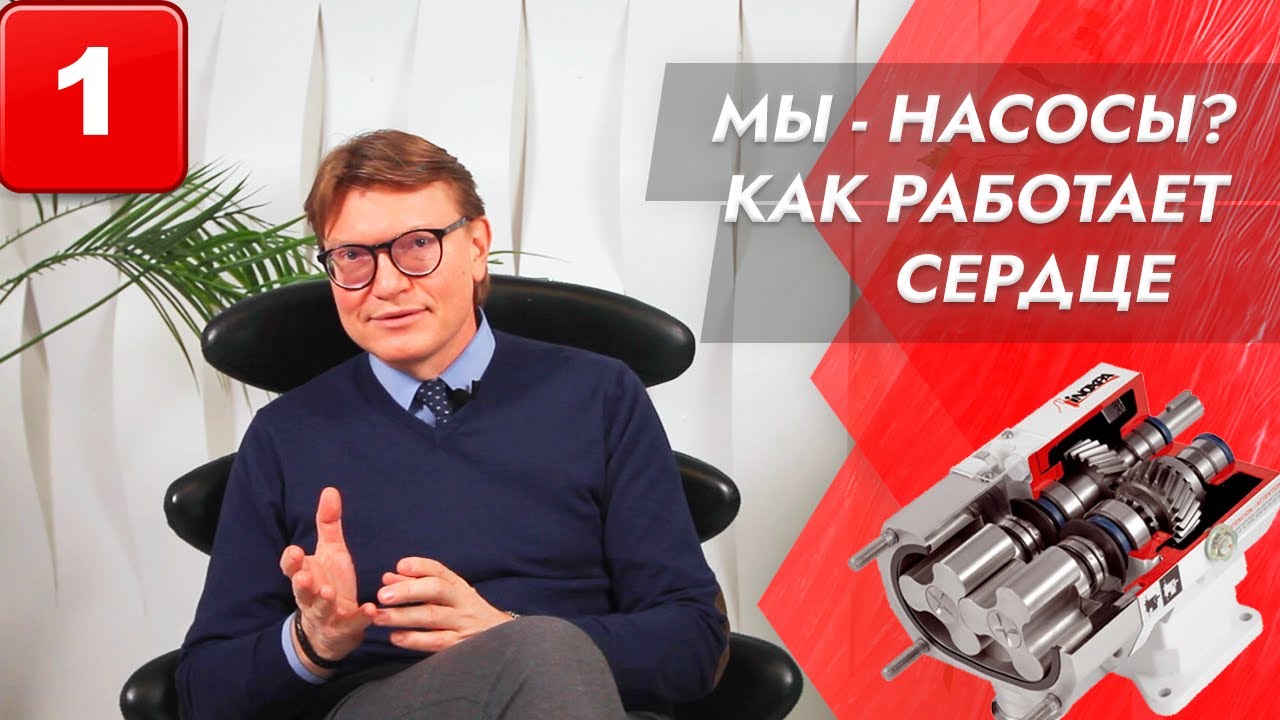 Выпуск 1. Просто о сложном: Мы – насосы? Как работает сердце? Рассказывает профессор Ардашев А.В.