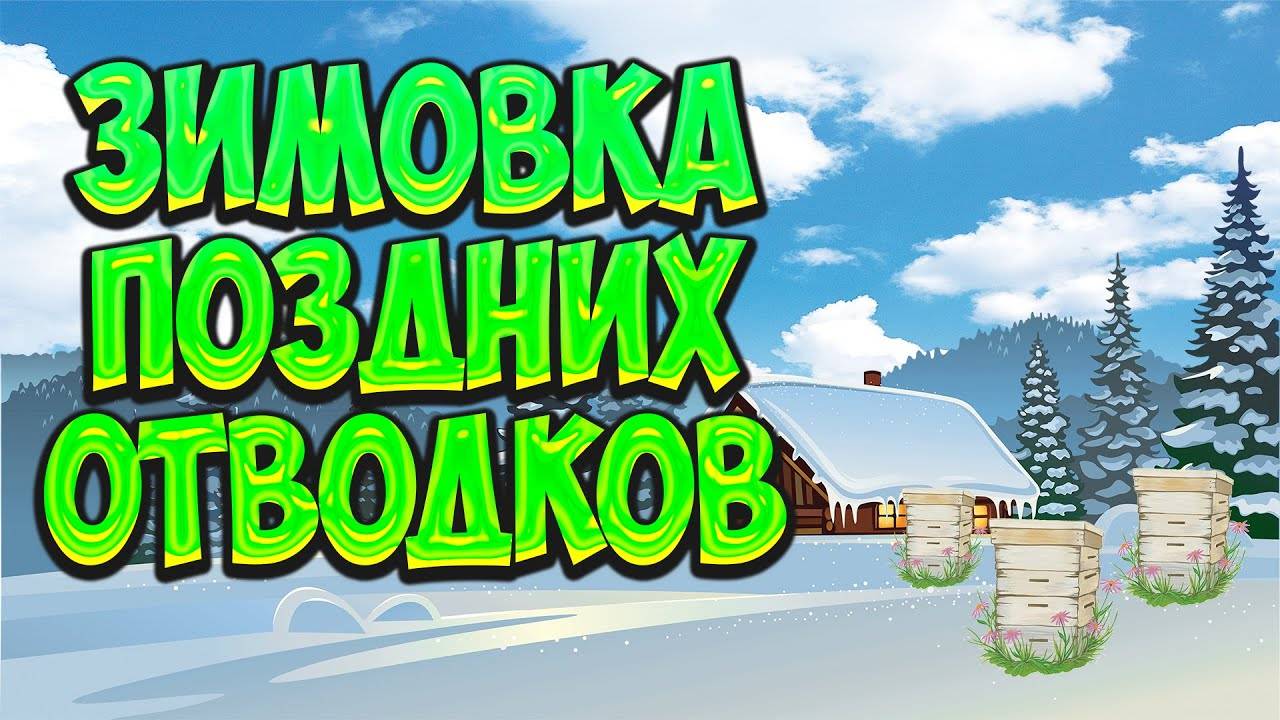 Зимовка поздних отводков в шестирамочных ульях из ППС. Зимовка в пеноплексе. Улья из пеноплекса.