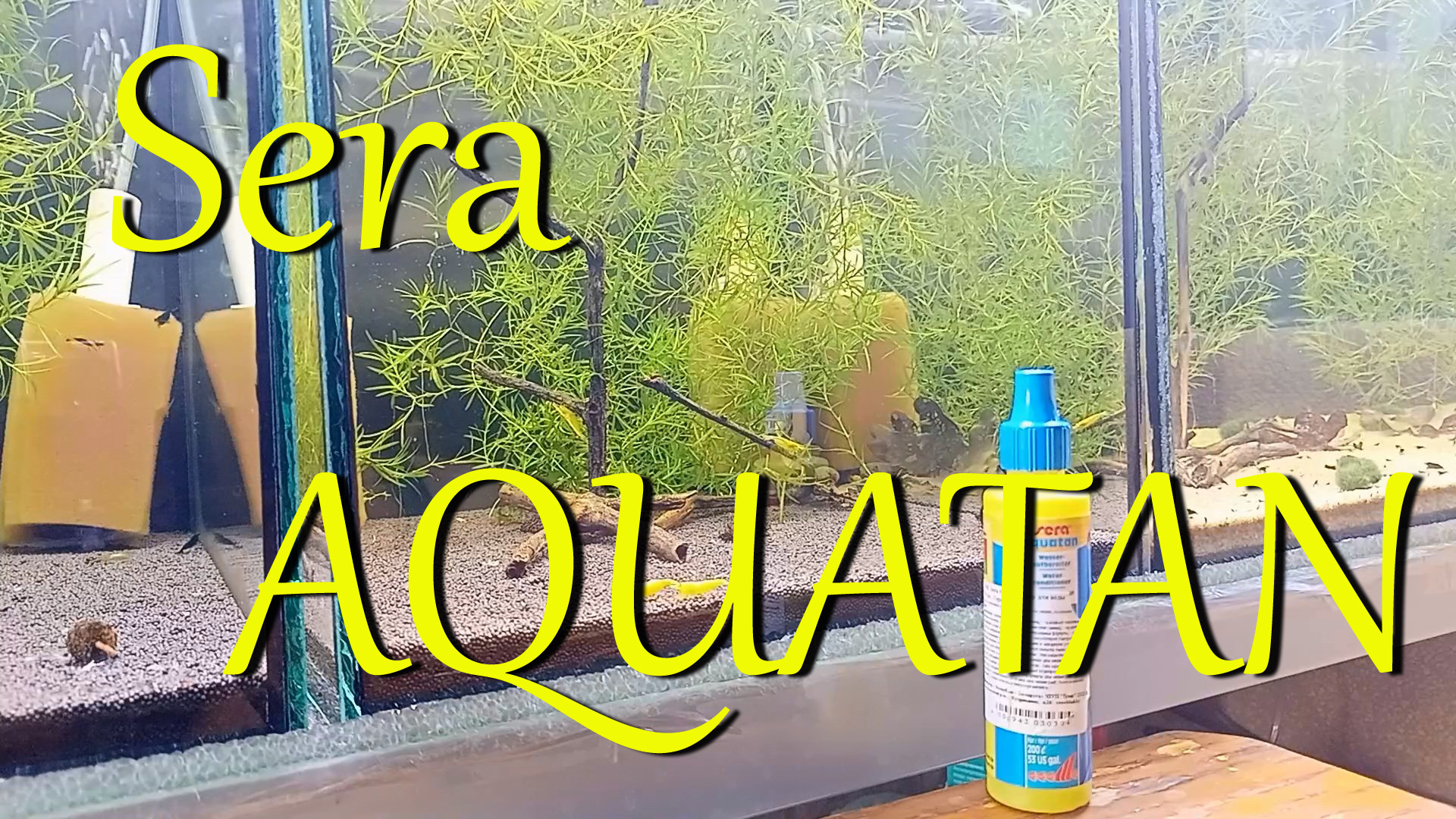 #Sera AQUATAN. Убирает ли хлор и тяжелые металлы? #Как можно убрать хлор и тяжелые металлы из воды.