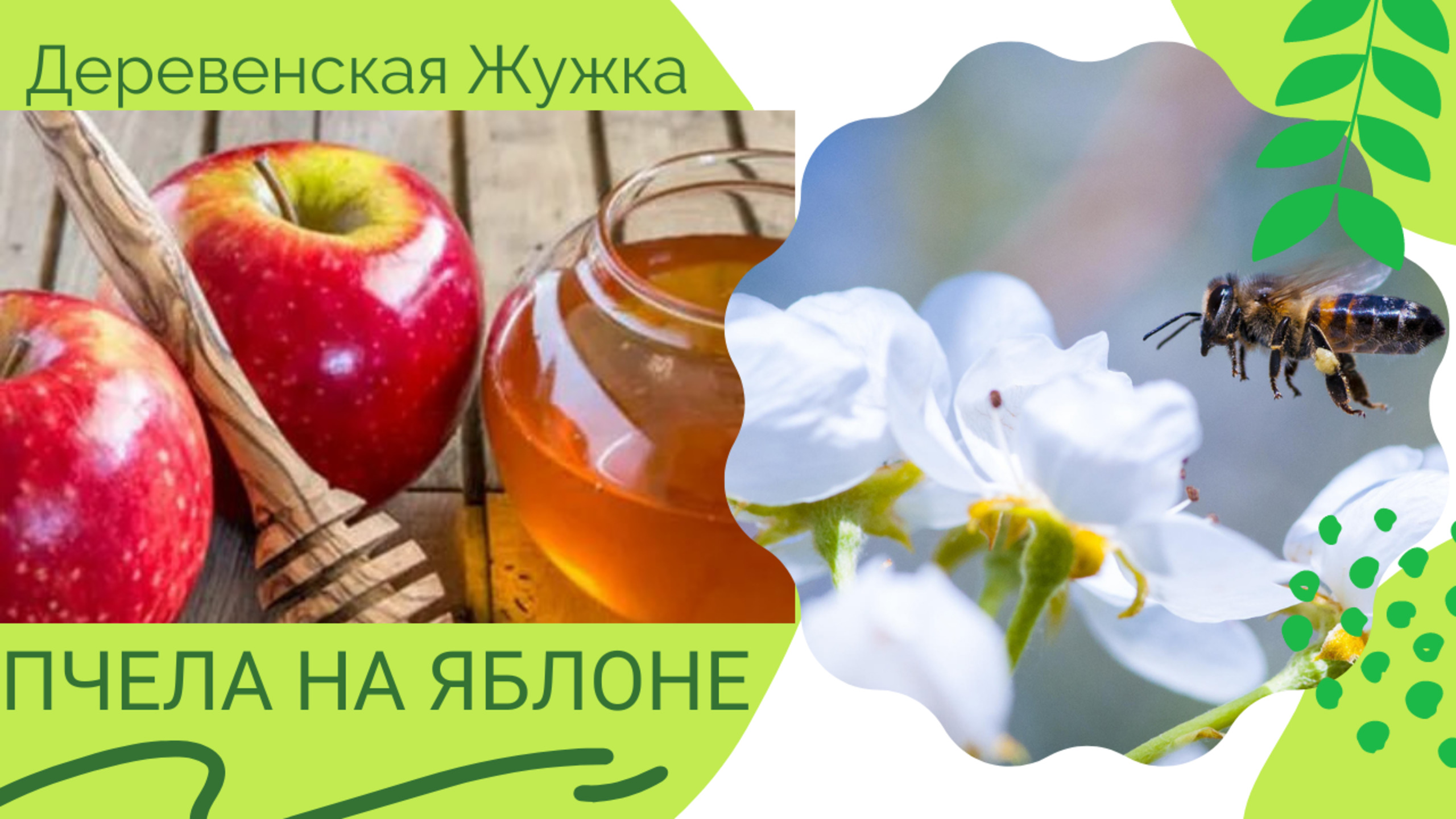 Пчела опыляет яблоню (Bee.)