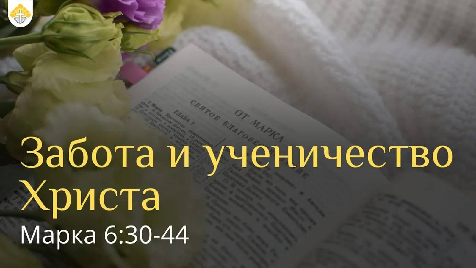 Забота и ученичество Христа // от Марка 6:30-44 // Василий Петрович Козорезов