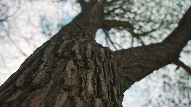 Бирюлево Восточное