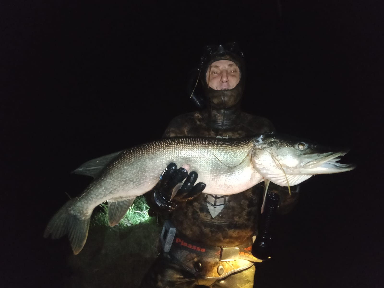 Приключения Геныча и Петровича на подводной охоте