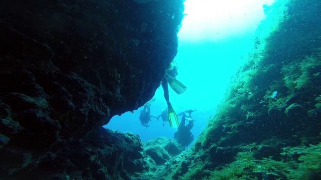 ФУТАЖИ! Дайвинг