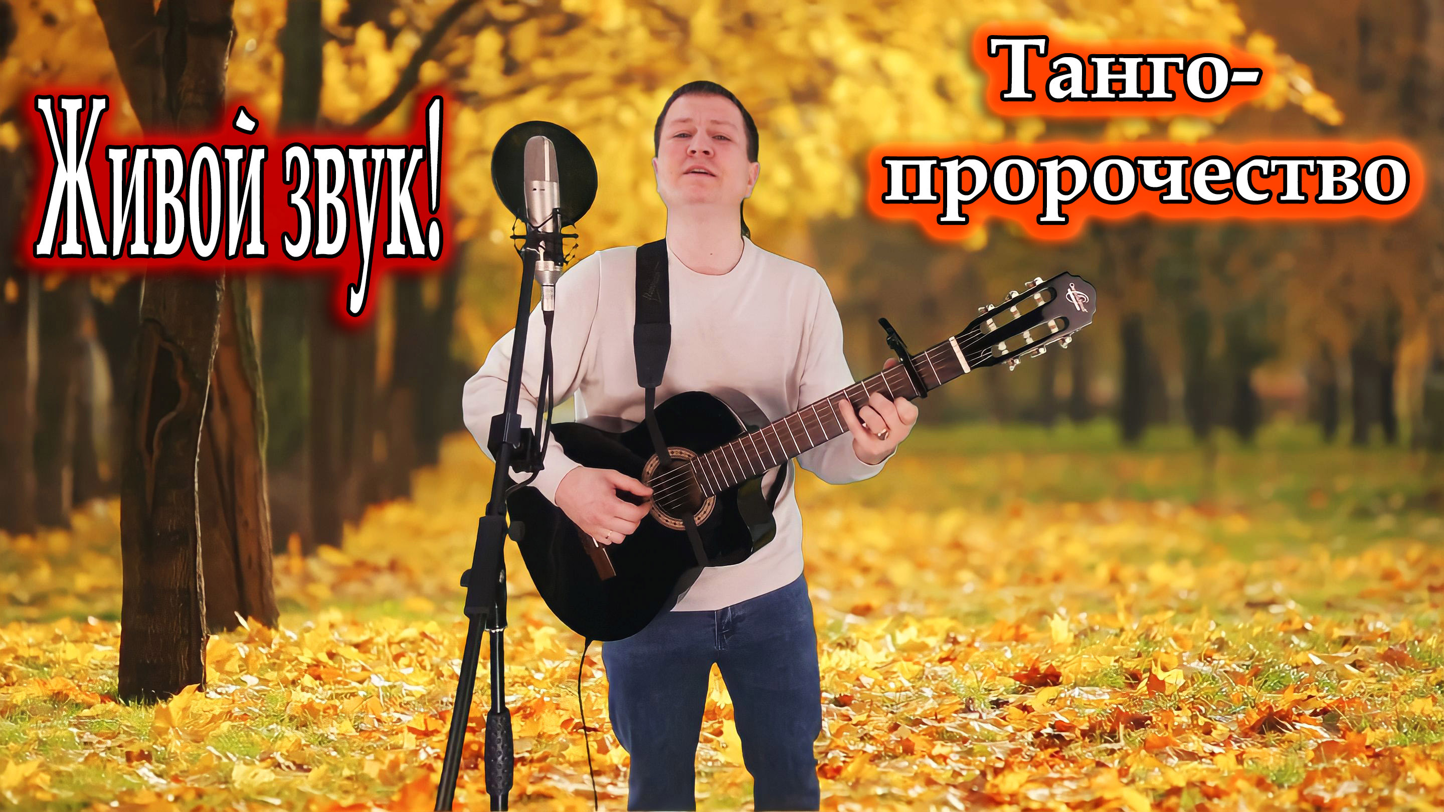 Вячеслав Малежик, исп. Владимир Need Soul Кузьмин -Танго-пророчество (cover version)