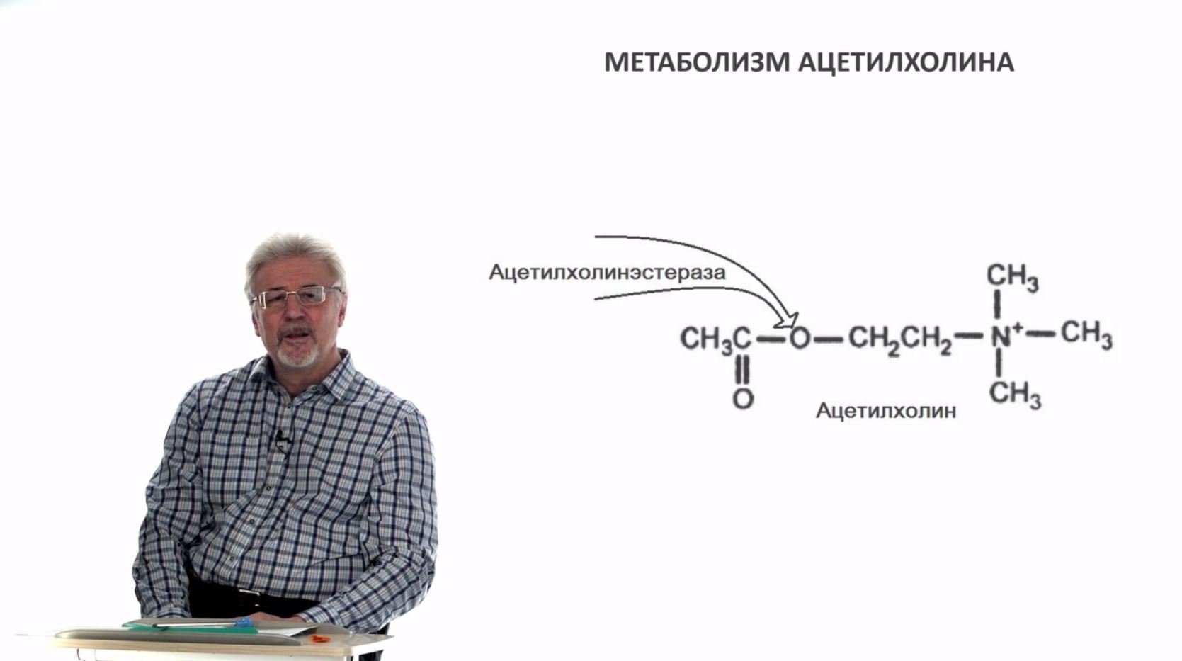Евсеев А.В. Нормальная физиология. Лекция №14. Возбуждение в синусном узле. Регуляция сердца. 2023